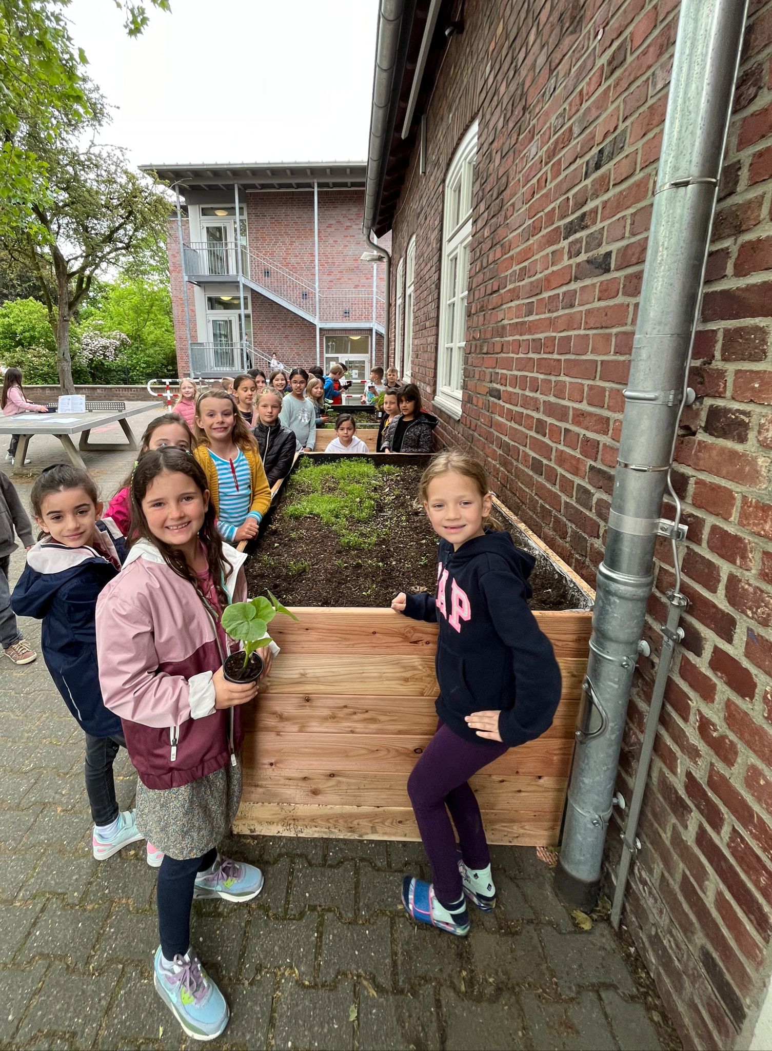 Klasse 2c pflanzt neben den auf dem Schulfest gesäten Blumen Gemüsepflanzen